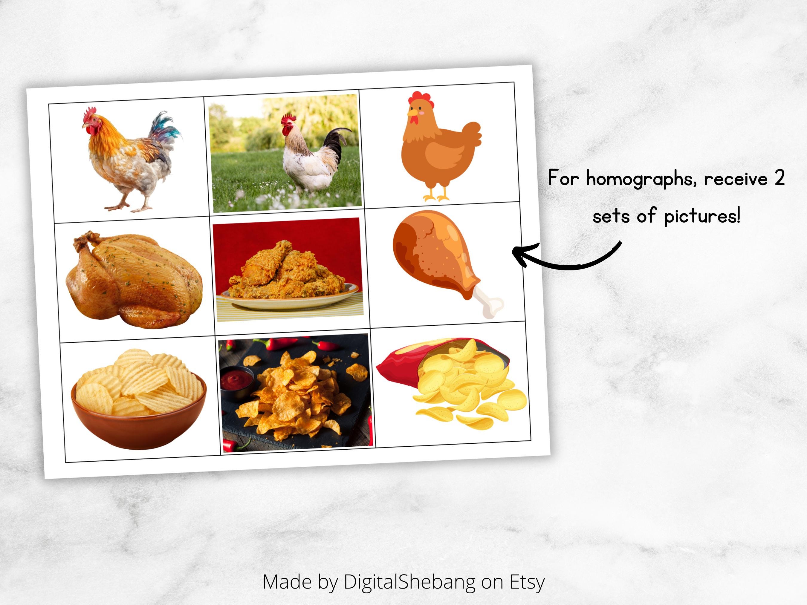 VB-MAPP 300 Common Noun Flashcards Real-life & Cartoon Images for Aba ...