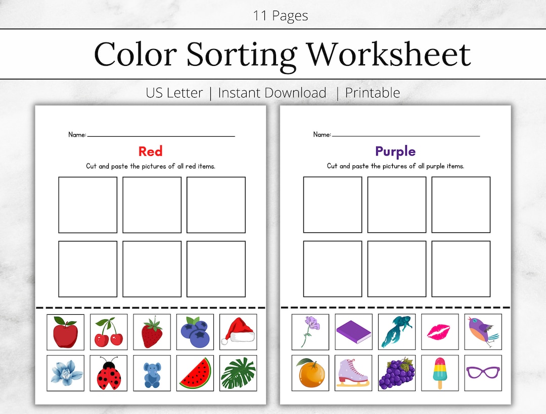 Color Sorting Activity, Autism & Special Education Activity, Matching ...