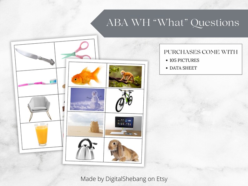 What Intraverbal, ABA What Question, ABA Intraverbal, WH Questions Aba ...