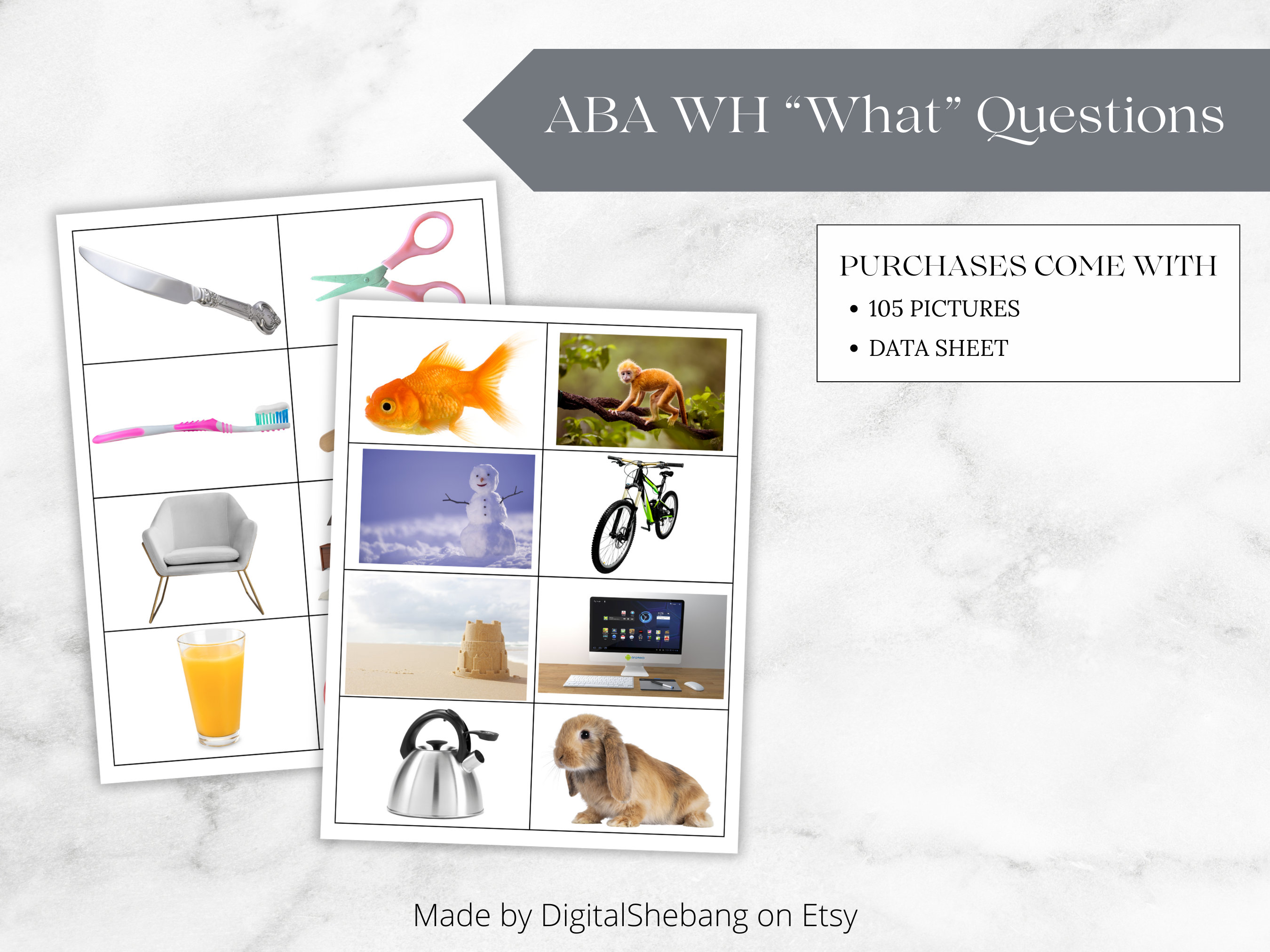 What Intraverbal, ABA What Question, ABA Intraverbal, WH Questions Aba ...