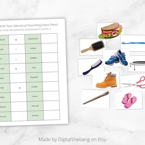 VB-MAPP Non-identical Matching, ABA Materials & Flashcards, Printable ...