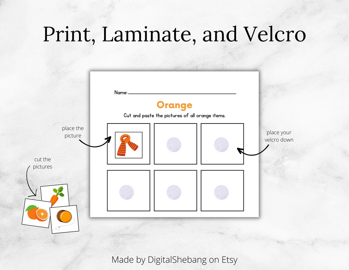 Color Sorting Activity, Autism & Special Education Activity, Matching ...