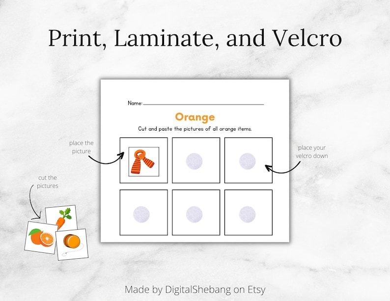 Color Sorting Activity, Autism & Special Education Activity, Matching ...