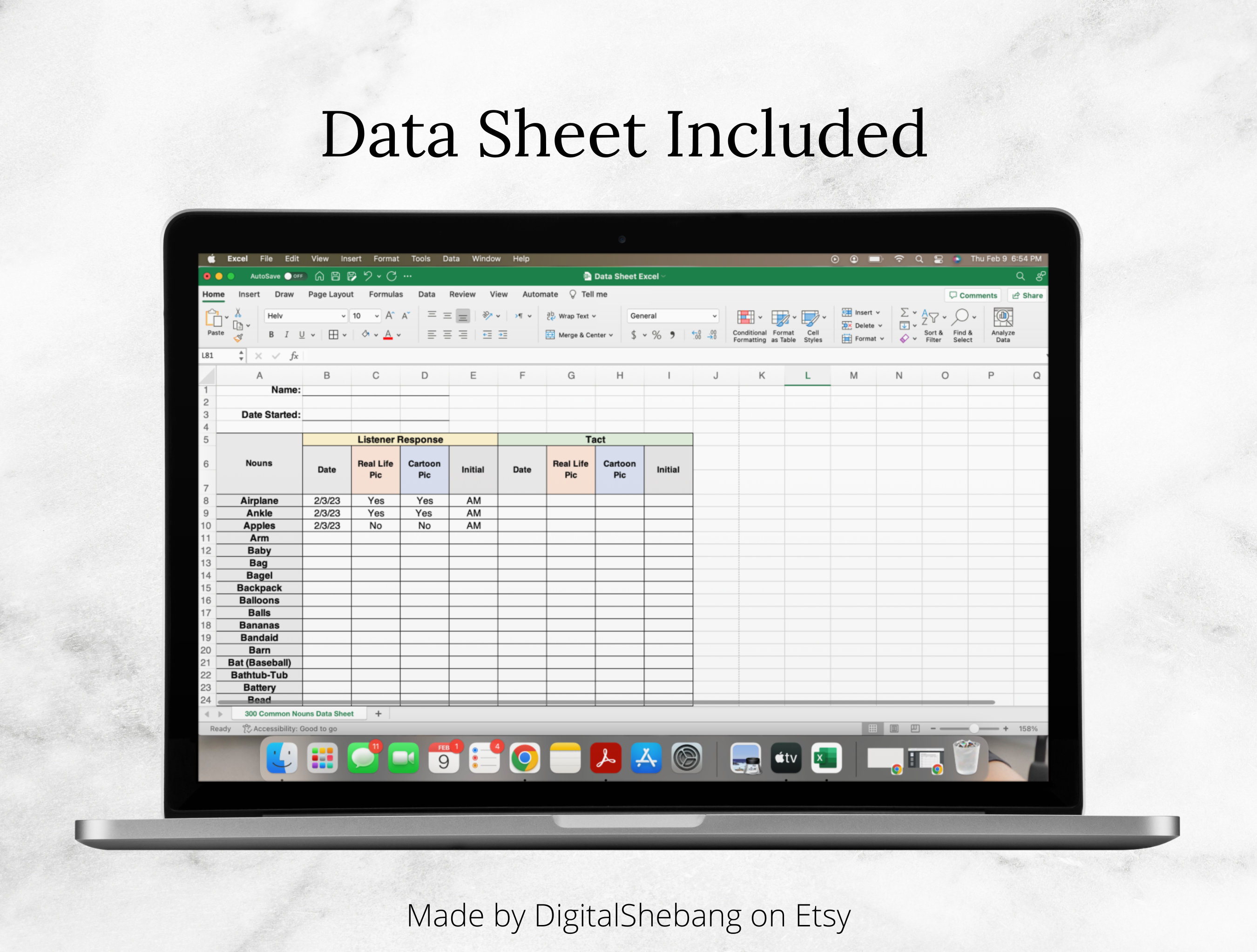 VBMAPP 300 Common Nouns Bundle 300 Common Noun Kit VB MAPP Stimuli Set ...