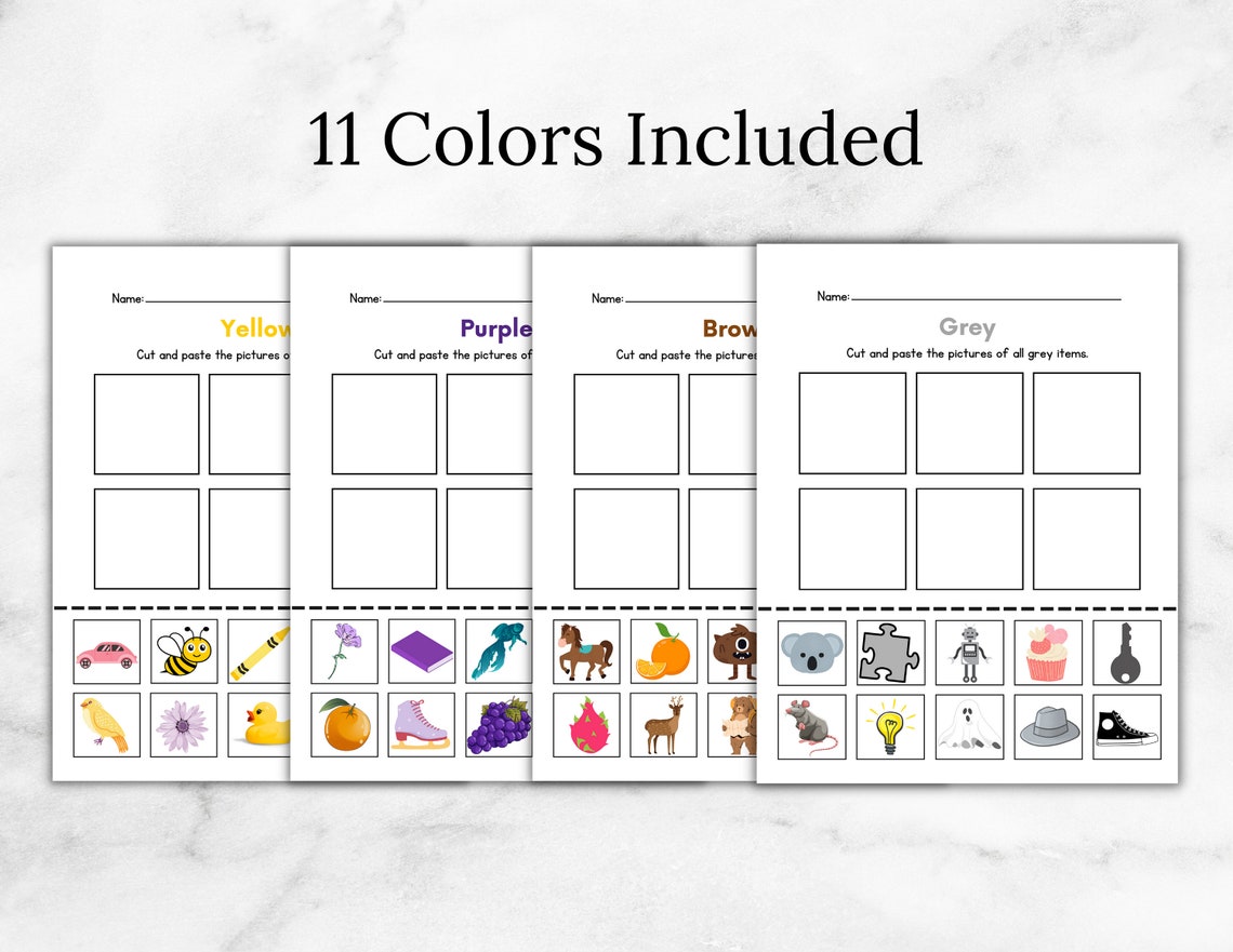 Color Sorting Activity, Autism & Special Education Activity, Matching ...