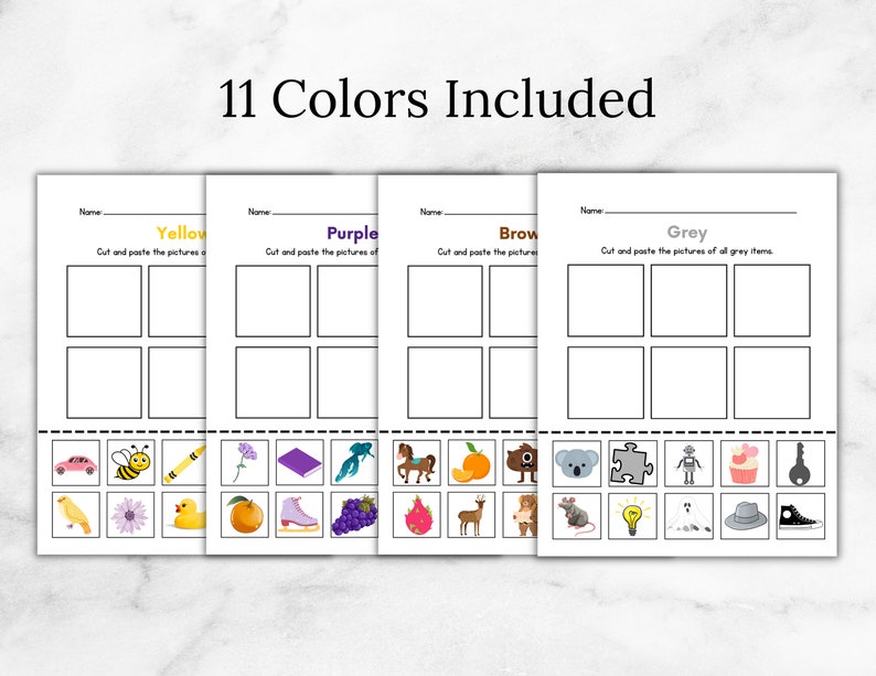 Color Sorting Activity, Autism & Special Education Activity, Matching ...