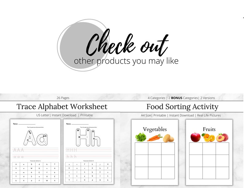 Color Sorting Activity Autism & Special Education Activity - Etsy