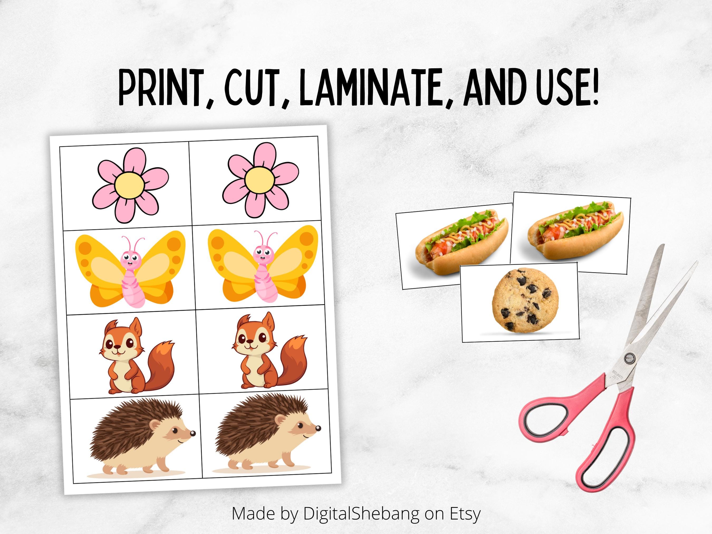 VB-MAPP Identical Matching, ABA Materials & Flashcards, Printable ...