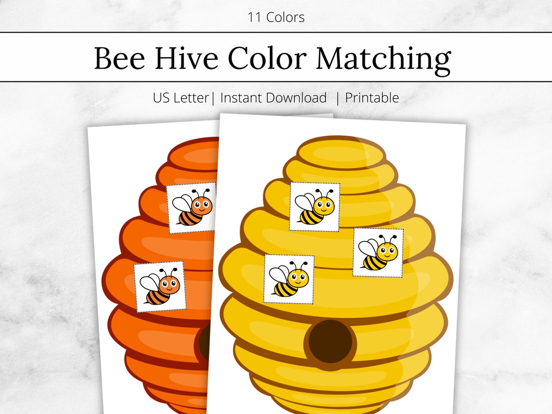 Bee Hive Color Sorting Activity, Matching Coloring Activity, 11 Color ...