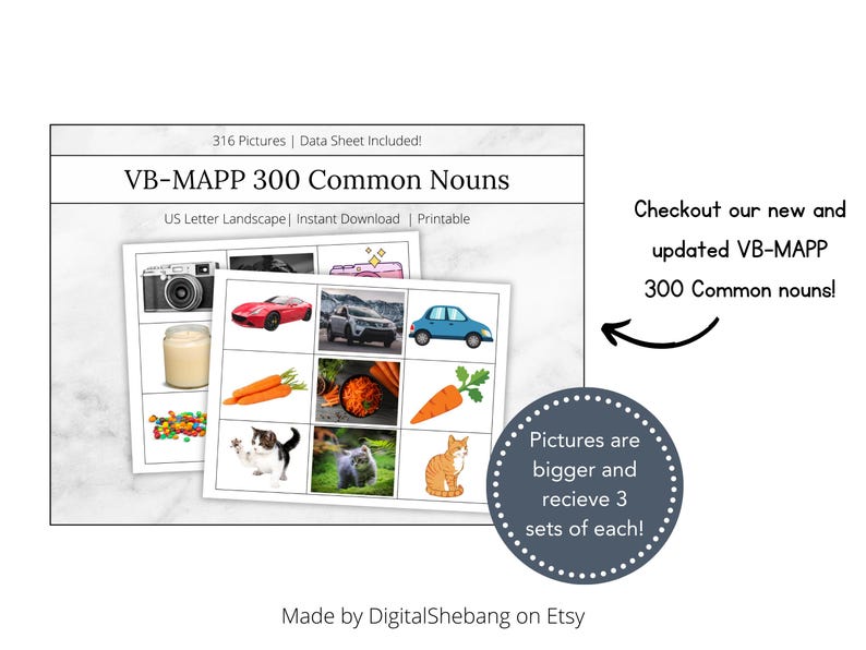 VBMAPP 300 Common Nouns Bundle 300 Common Noun Kit VB MAPP Stimuli Set ...