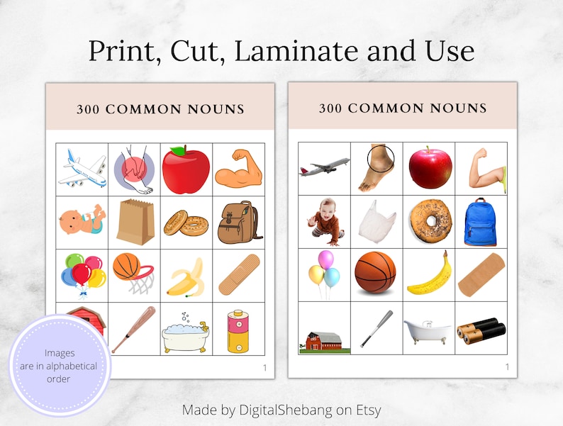 VBMAPP 300 Common Nouns Bundle 300 Common Noun Kit VB MAPP Stimuli Set ...