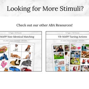 VB-MAPP Identical Matching, ABA Materials & Flashcards, Printable ...