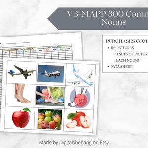 VB-MAPP 300 Noun Flashcards, Autism ABA Therapy (digital Download) - Etsy