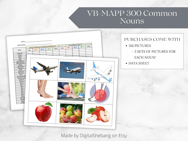 VB-MAPP 300 Common Noun Flashcards Real-life & Cartoon Images for Aba ...