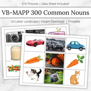 VB-MAPP 300 Common Noun Flashcards Real-life & Cartoon Images for Aba ...