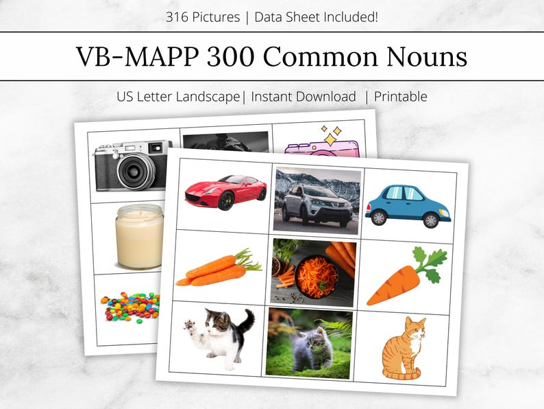 VB-MAPP 300 Common Noun Flashcards Real-life & Cartoon Images for Aba ...