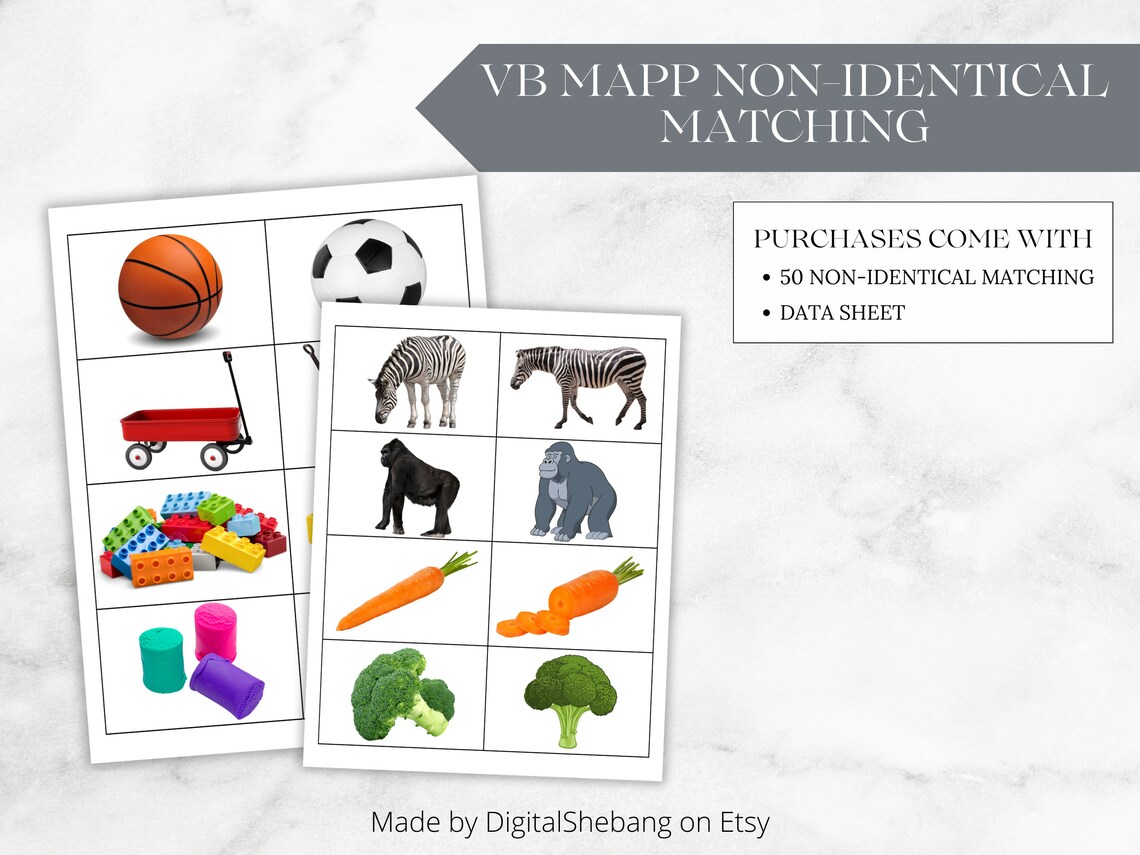 VB-MAPP Non-identical Matching, ABA Materials & Flashcards, Printable ...