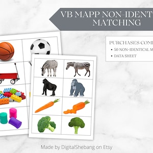 VB-MAPP Non-identical Matching, ABA Materials & Flashcards, Printable ...