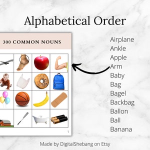 VB-MAPP 300 Common Noun Flashcards, ABA Learning (printable) - Etsy