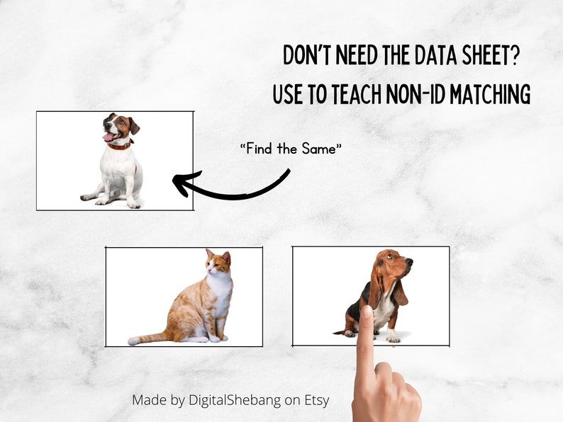 VB-MAPP Non-identical Matching Flashcards, ABA Data Sheet (printable ...