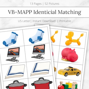 VB-MAPP Identical Matching Flashcards, ABA Therapy Resources (printable ...