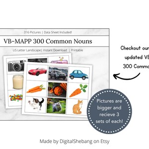 VBMAPP 300 Common Nouns Set 2, Cartoon Printable Flashcards, ABA ...