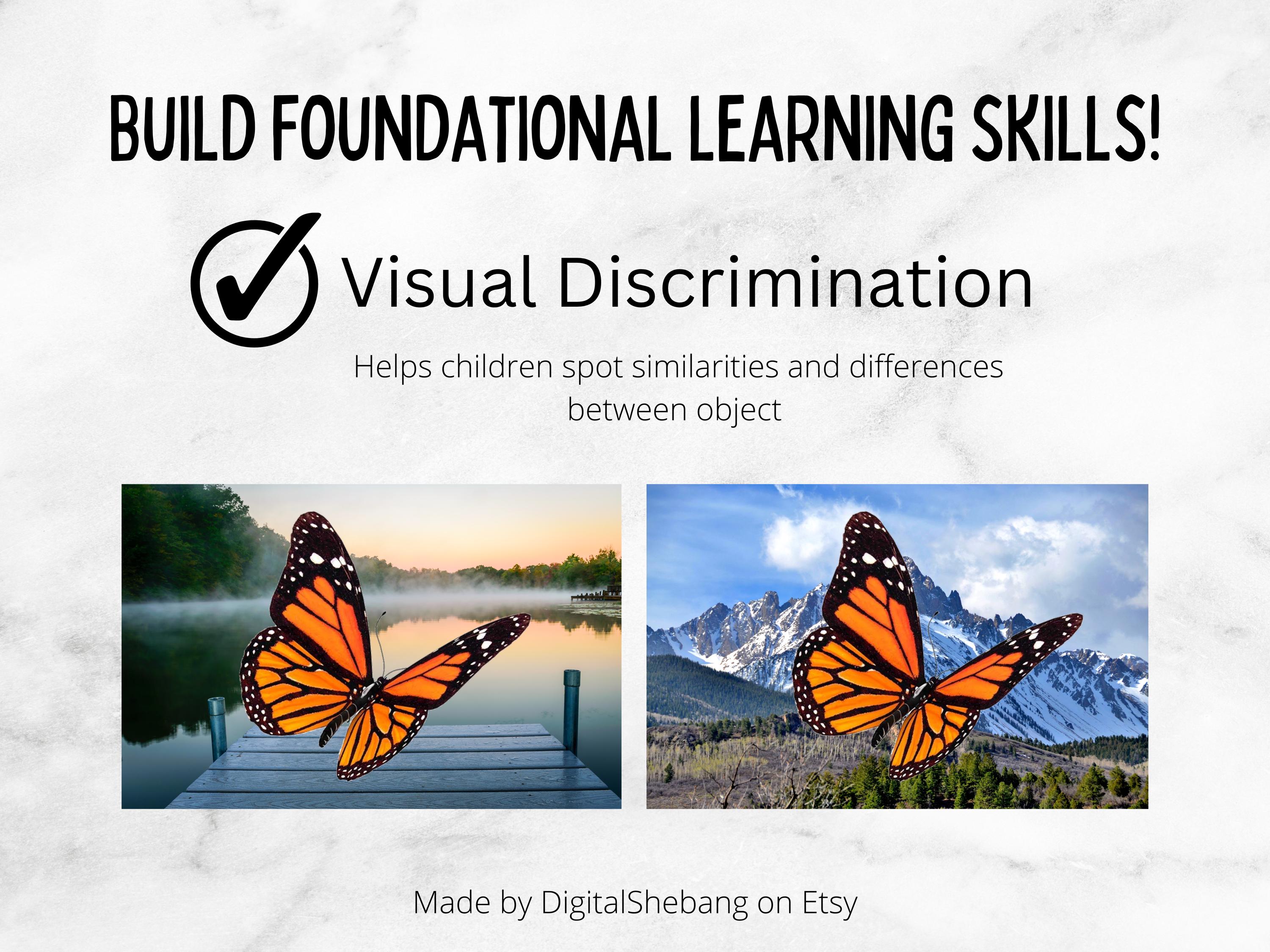 ABA Matching Cards, Visual Discrimination, Generalization Pictures ...