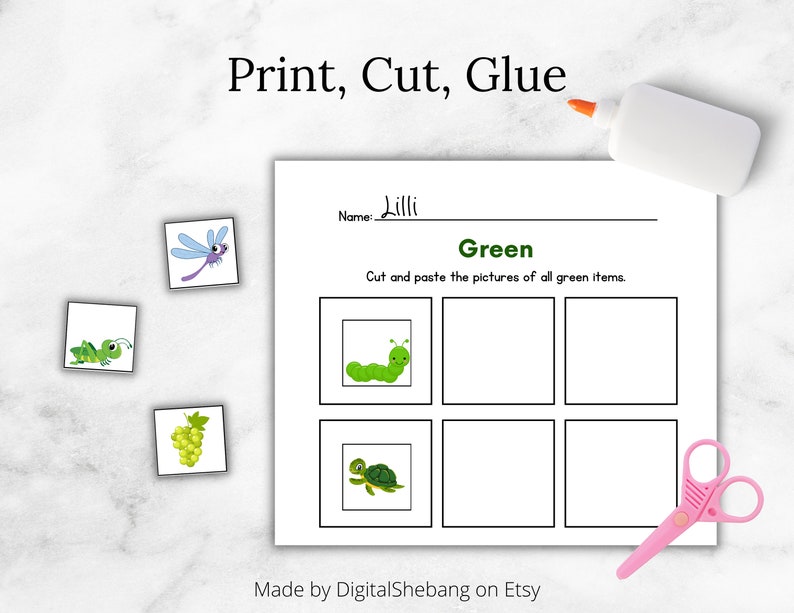 Color Sorting Activity, Autism & Special Education Activity, Matching ...