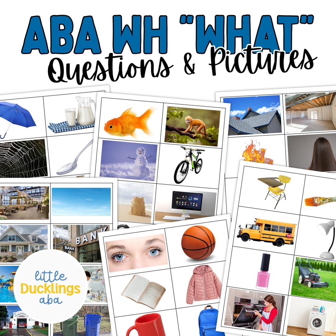 ABA What Questions Cards | Real Photo WH Flashcards | Printable ...