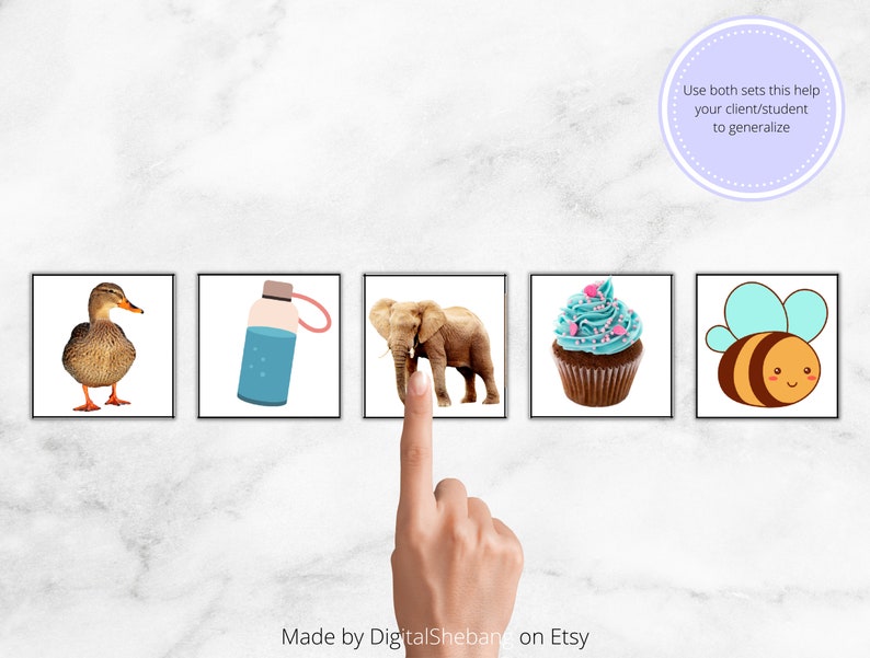 VBMAPP 300 Common Nouns Bundle 300 Common Noun Kit VB MAPP Stimuli Set ...