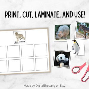 ABA Sorting Categories, ABA LRFFC, Sorting Class, Sorting Pictures ...