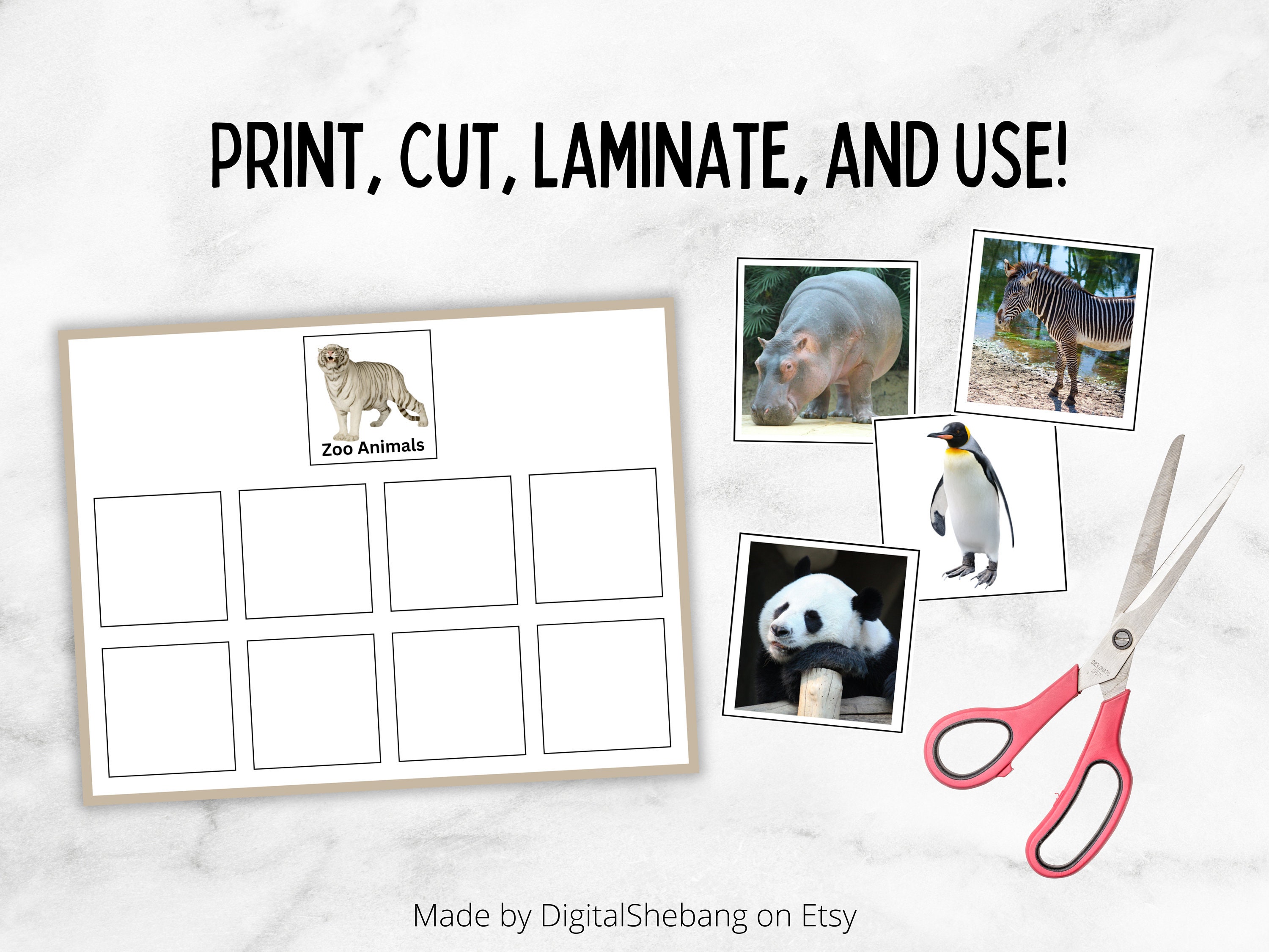 ABA Sorting Categories, ABA LRFFC, Sorting Class, Sorting Pictures ...