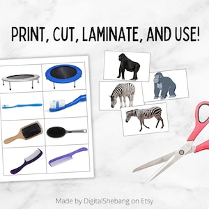 VB-MAPP Non-identical Matching Flashcards, ABA Data Sheet (printable ...