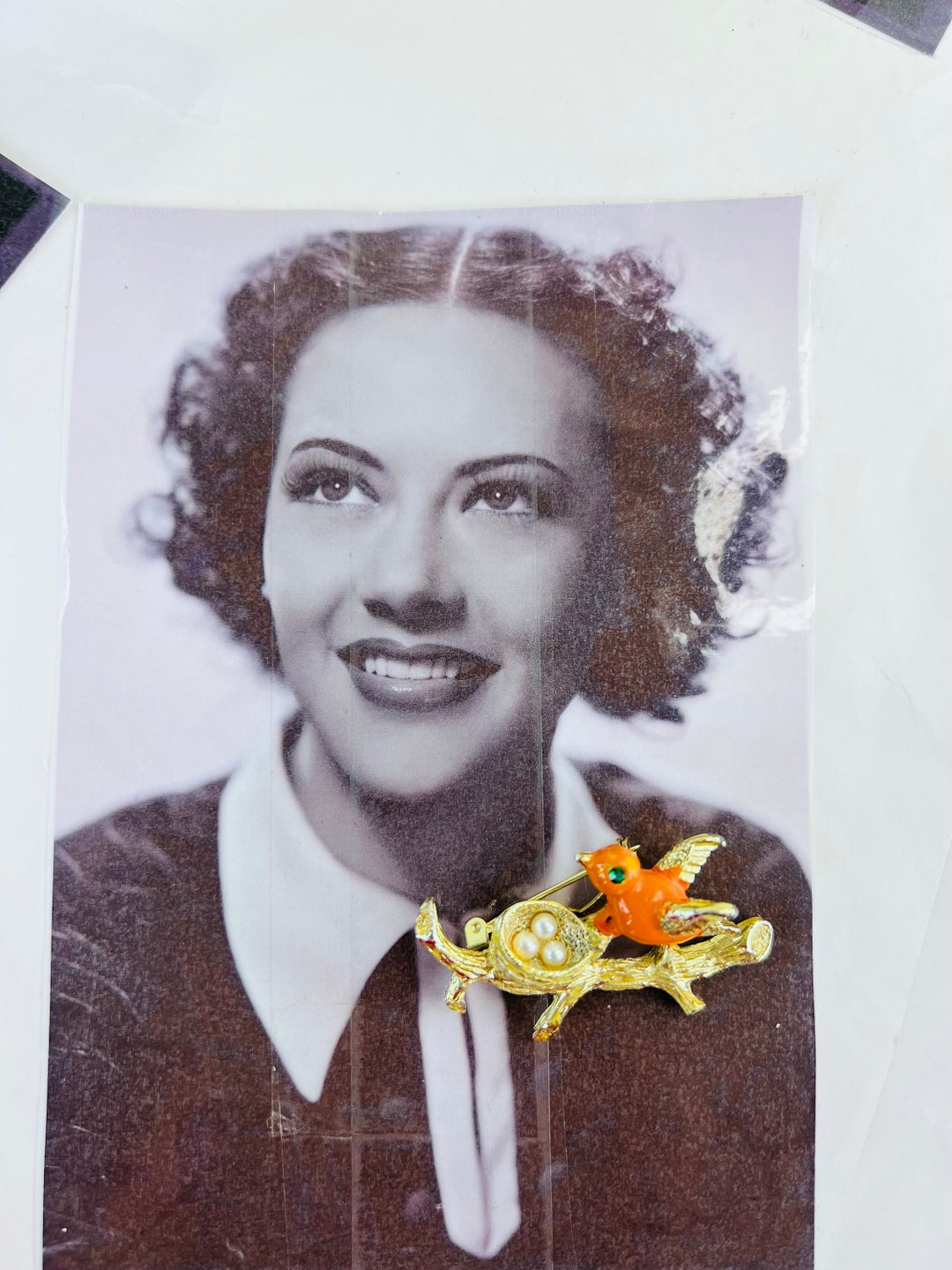 Vintage GERRY'S Bird Brooch: Orange Enamel, Pearl Nest, Gold Tone - Etsy