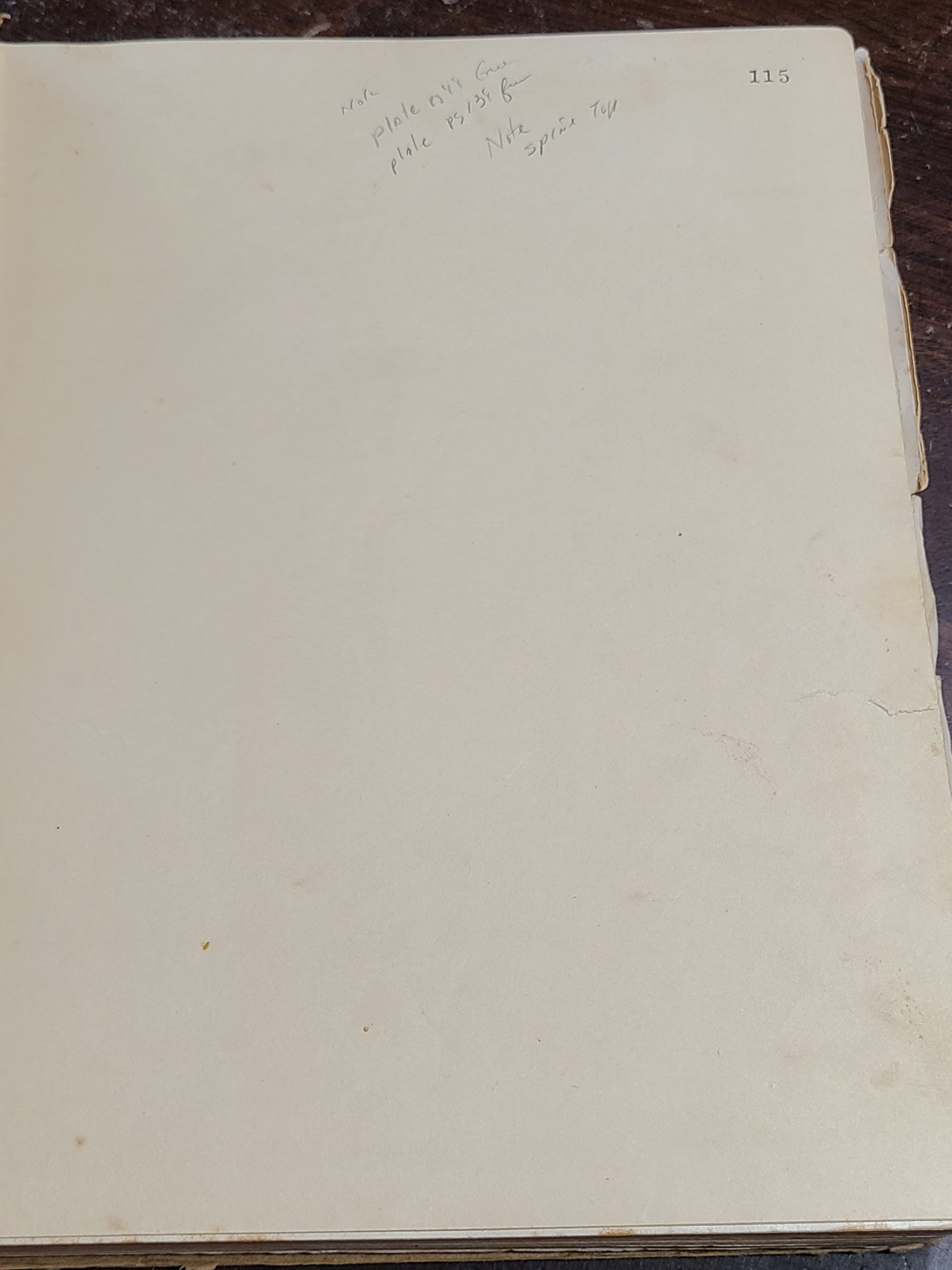 The Jeweled Toad by Isabel M. Johnston, Illustrated by W. W. Denslow ...