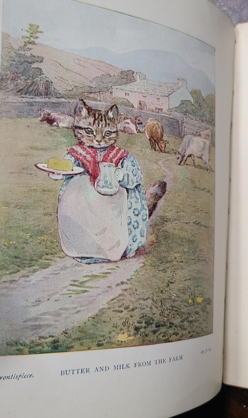 2 Book Set - the Pie and the Patty Pan by Beatrix Potter 1905 First ...