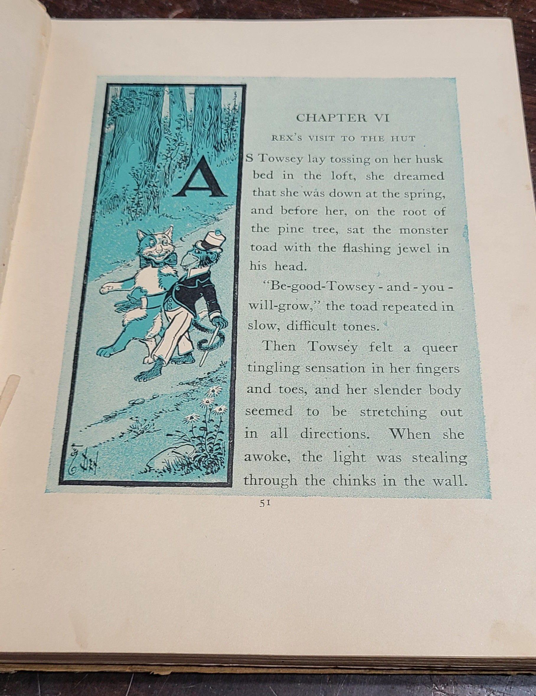 The Jeweled Toad by Isabel M. Johnston, Illustrated by W. W. Denslow ...