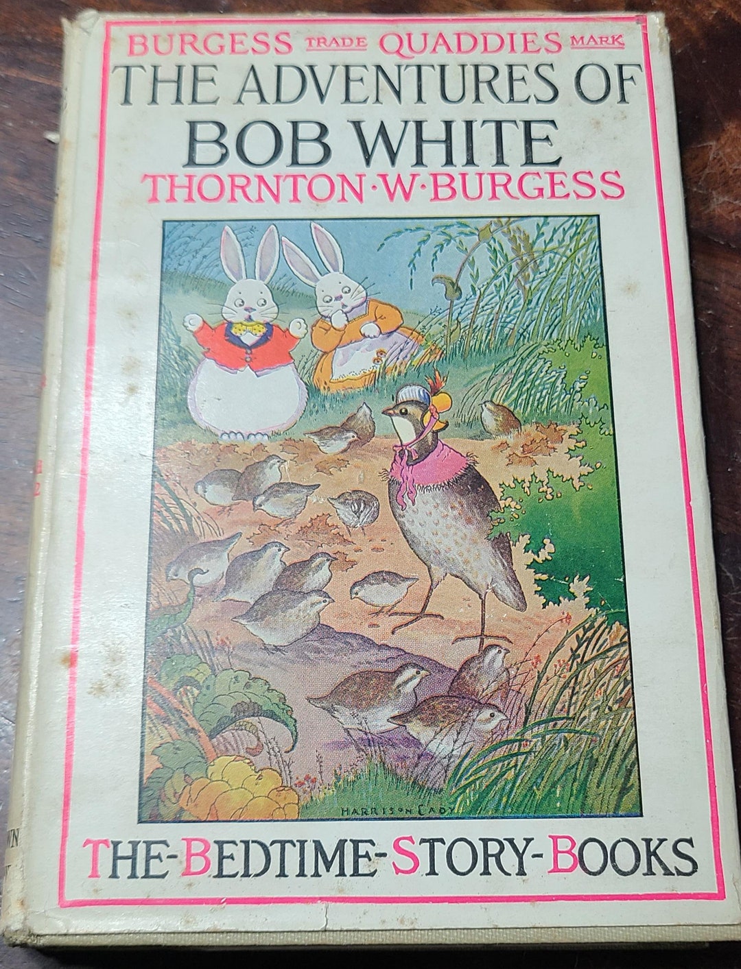The Adventures of Bob White by Thornton W. Burgess 1926 - Etsy