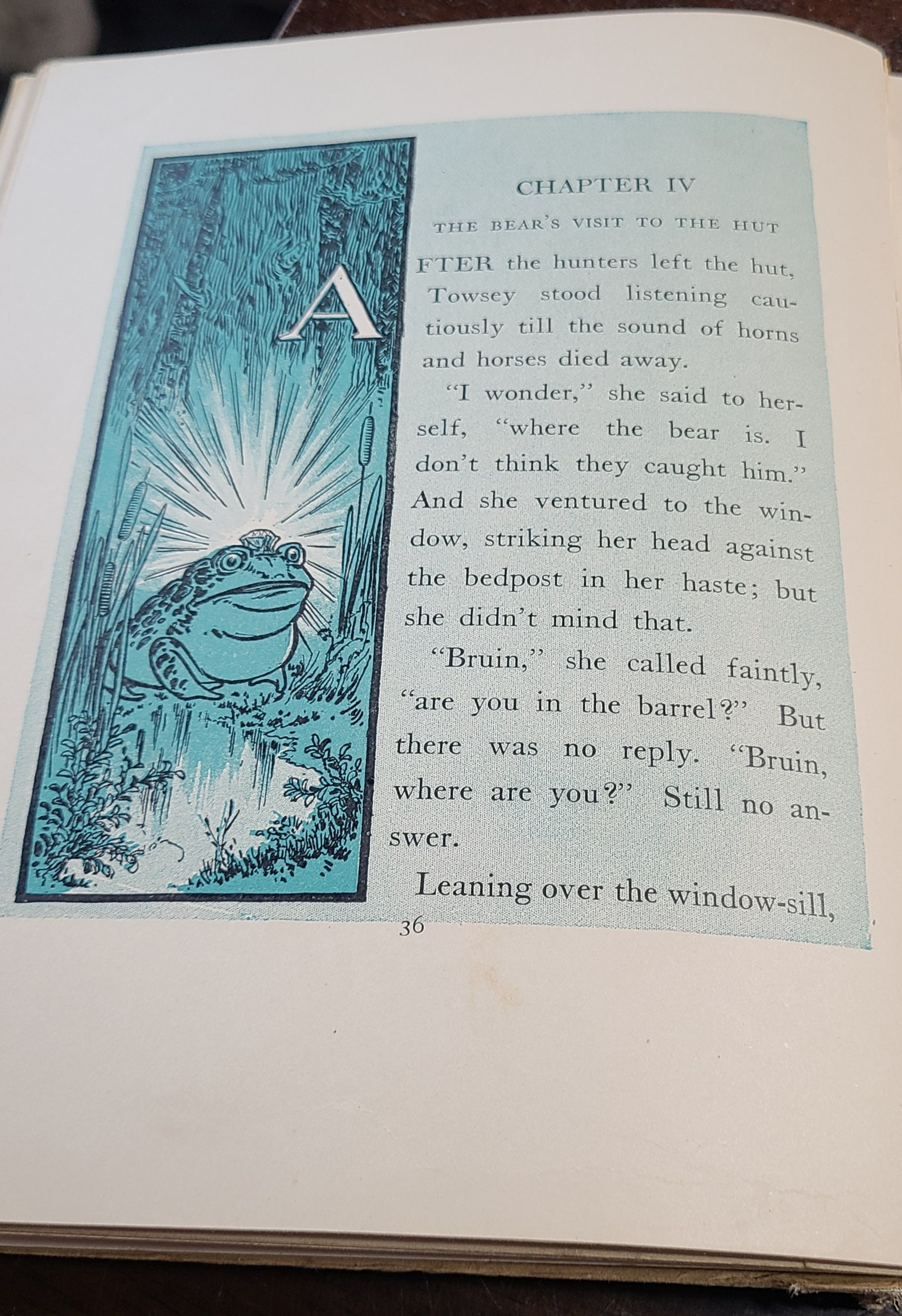The Jeweled Toad by Isabel M. Johnston, Illustrated by W. W. Denslow ...