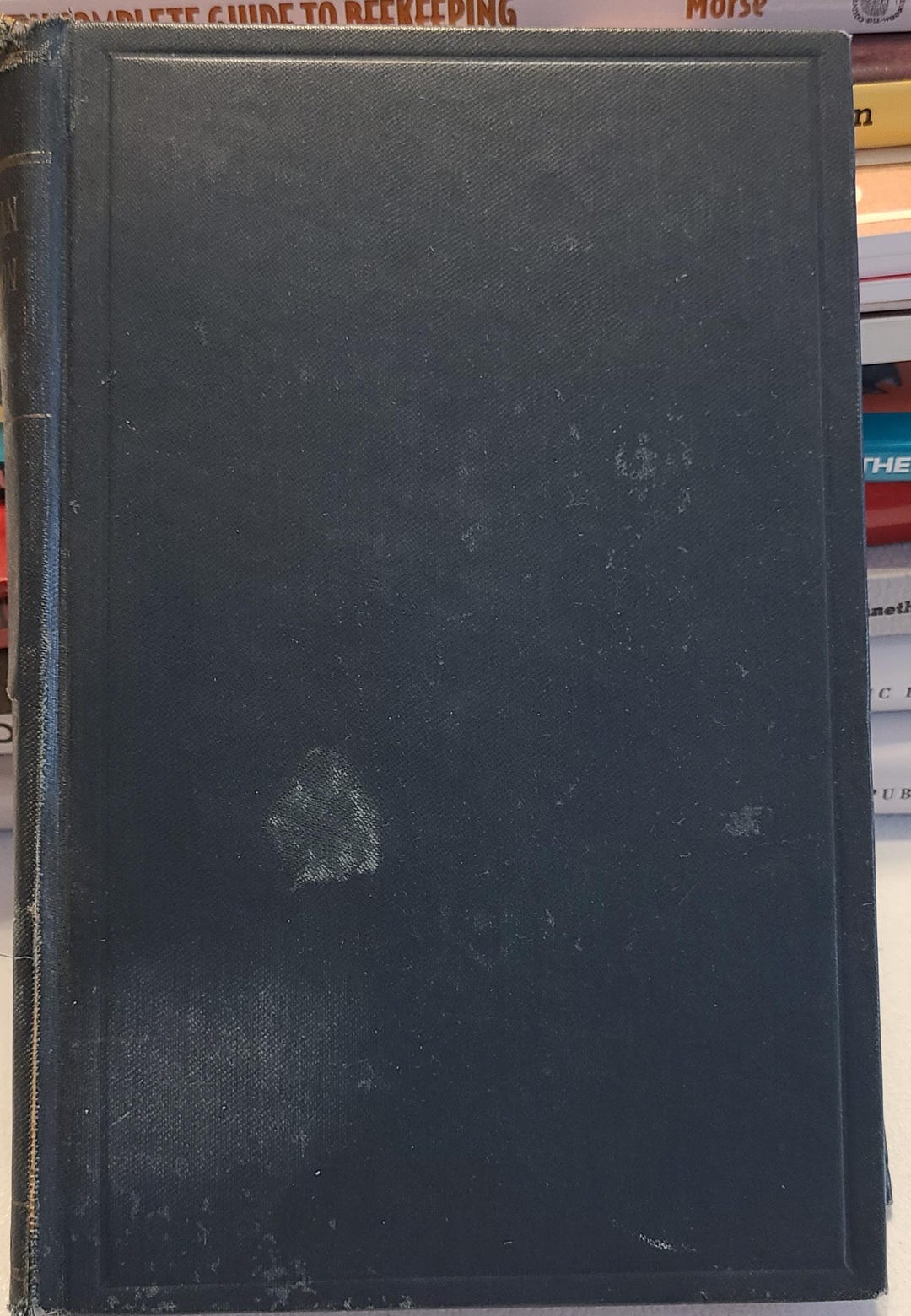 An Introduction to the Mammalian Dentition by T. Wingate Todd, 1918 - Etsy
