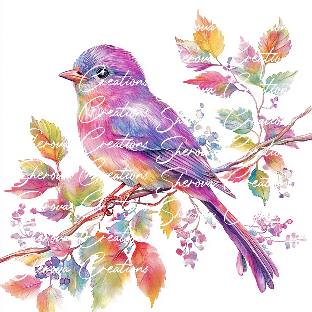 Watercolor Bird Clipart Bundle, Colorful Bird on Branch (JPG) - Etsy