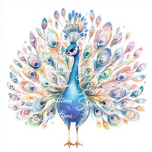Watercolor Bird Clipart Bundle: Peacock & Floral Designs (JPG) - Etsy