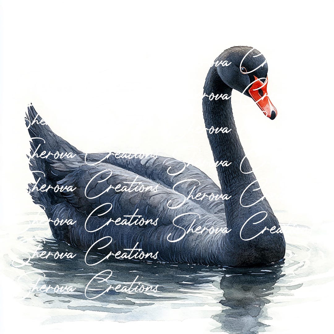 Swan Clipart Bundle, Wall Art, Printable Watercolour, High Quality JPG ...