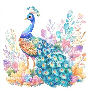 Watercolor Bird Clipart Bundle: Peacock & Floral Designs (JPG) - Etsy