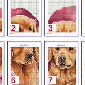 Golden Retriever Counted Cross Stitch Pattern - Etsy