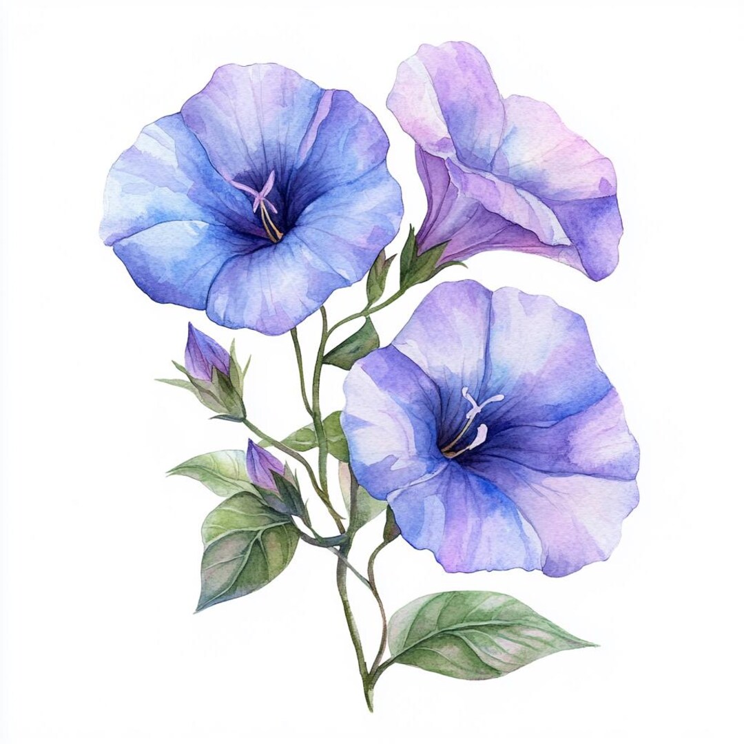 Watercolor Flower Clipart Bundle: Floral Wall Art (JPG) - Etsy