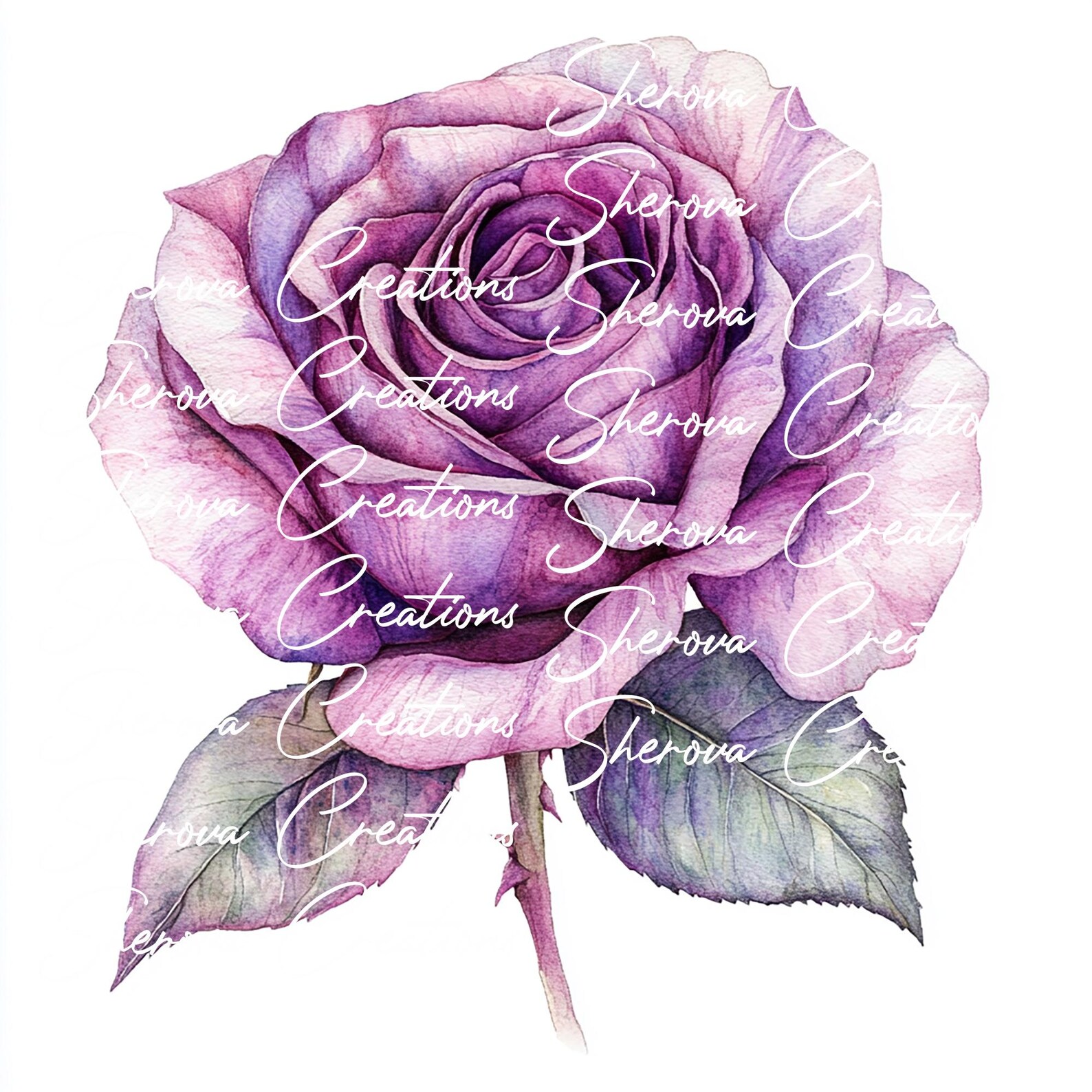 Watercolor Flower Clipart Bundle: Rose Illustrations (JPG) - Etsy Canada