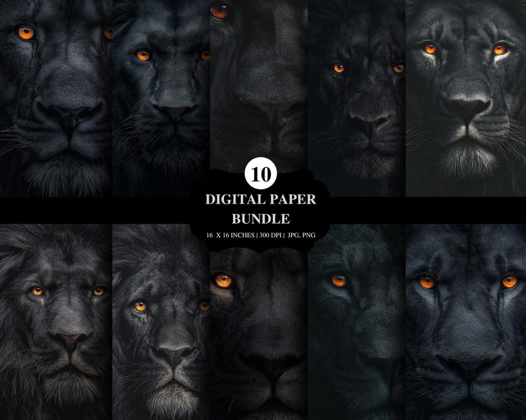 Lion Digital Paper Clipart Bundle: Graphics (JPG, PNG). Personal Use ...
