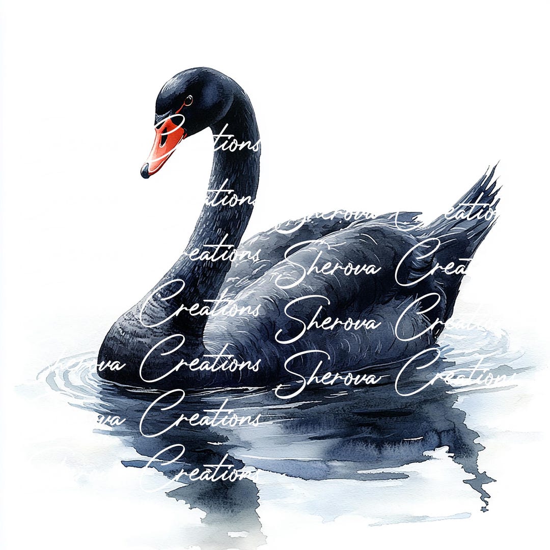 10 Swan Clipart Bundle, Wall Art, Printable Watercolour, High Quality ...