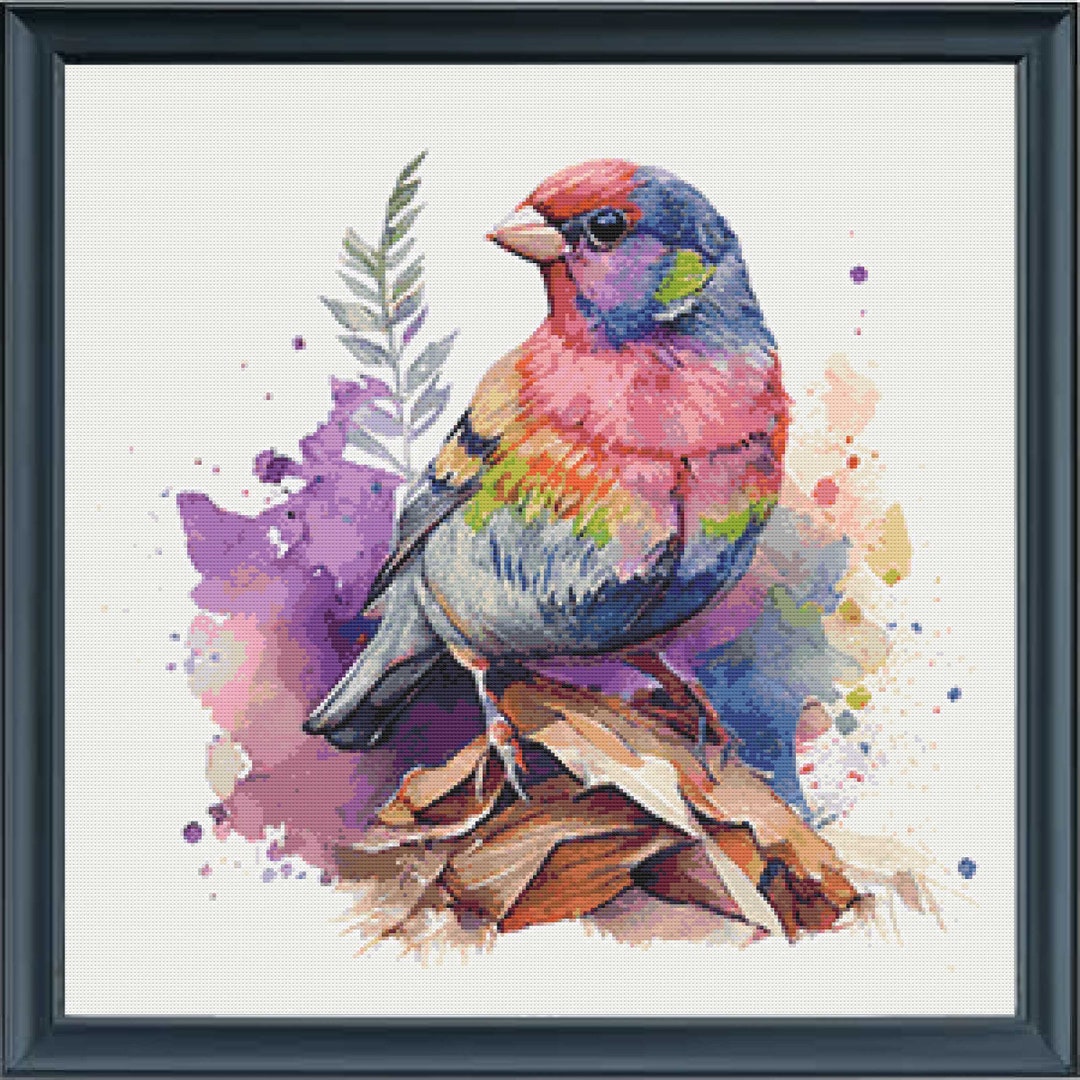 Rainbow Finch Counted Cross Stitch Pattern - Etsy